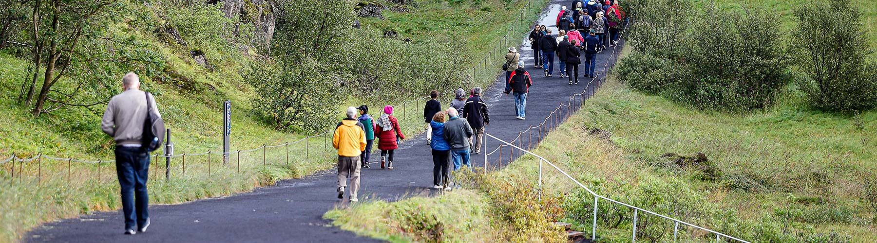 Group Arctic Tours & Adventures | Arctic Shorex