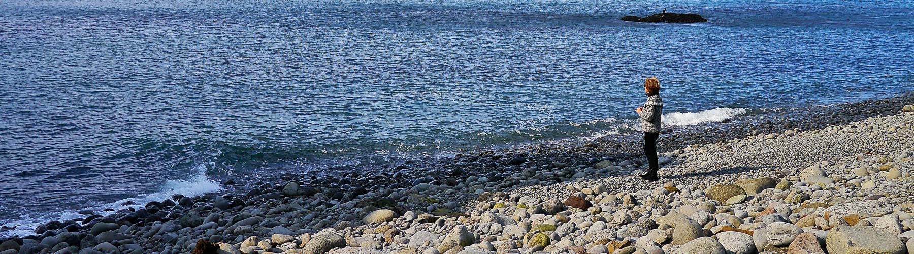 Exclusive Arctic Private Excursions & Adventures | Arctic Shorex