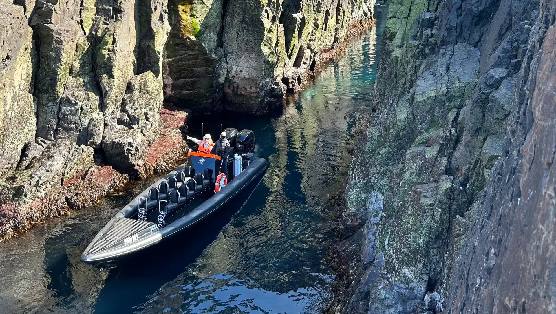Puffin RIB boat tour - Seydisfjordur - Arctic Shorex