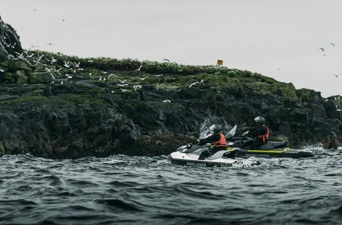 Jet Ski Puffins Tour - Reykjavik - Arctic Shorex
